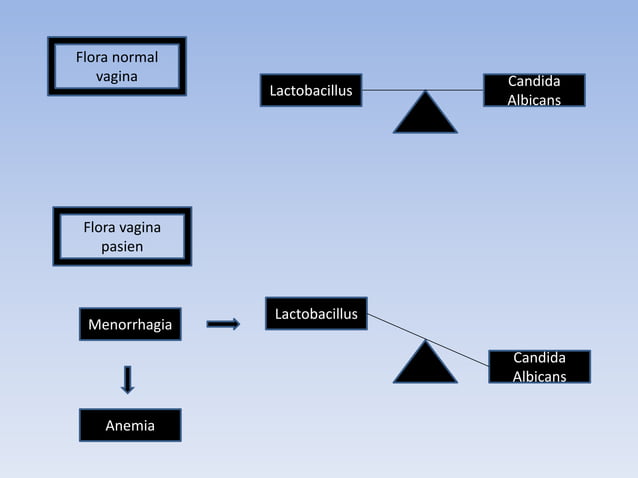 Anemia Hipokrom Mikrositer | PPTX