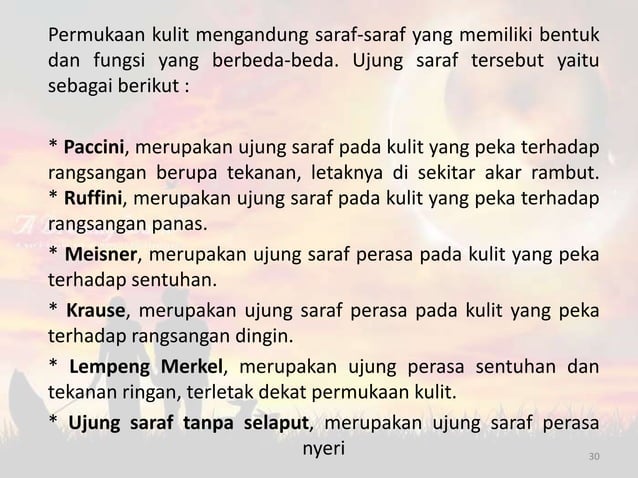 Alat Indra : Kulit dan Lidah | PPT