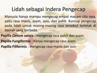 Alat Indra : Kulit dan Lidah | PPTX