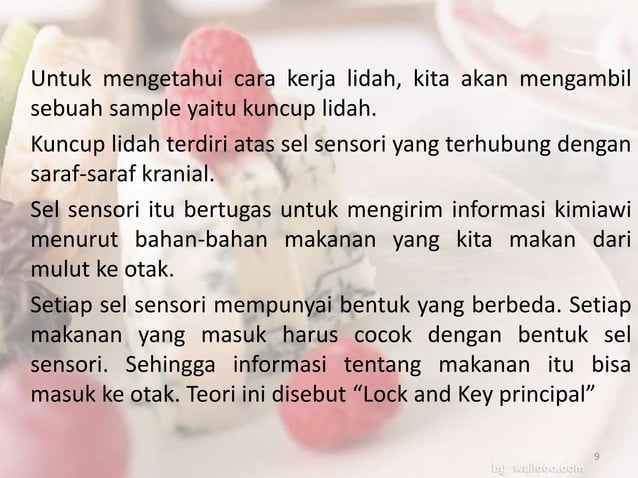 Alat Indra : Kulit dan Lidah | PPT
