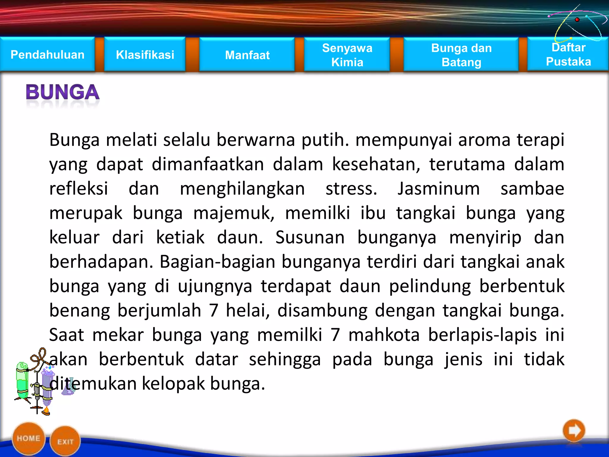 Presentasi kelompok bunga melati | PPTX