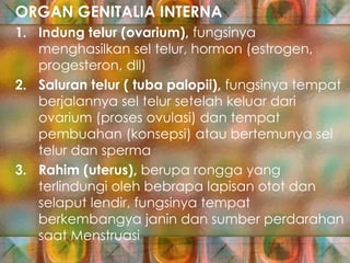 Presentasi kesehatan remaja | PPTX