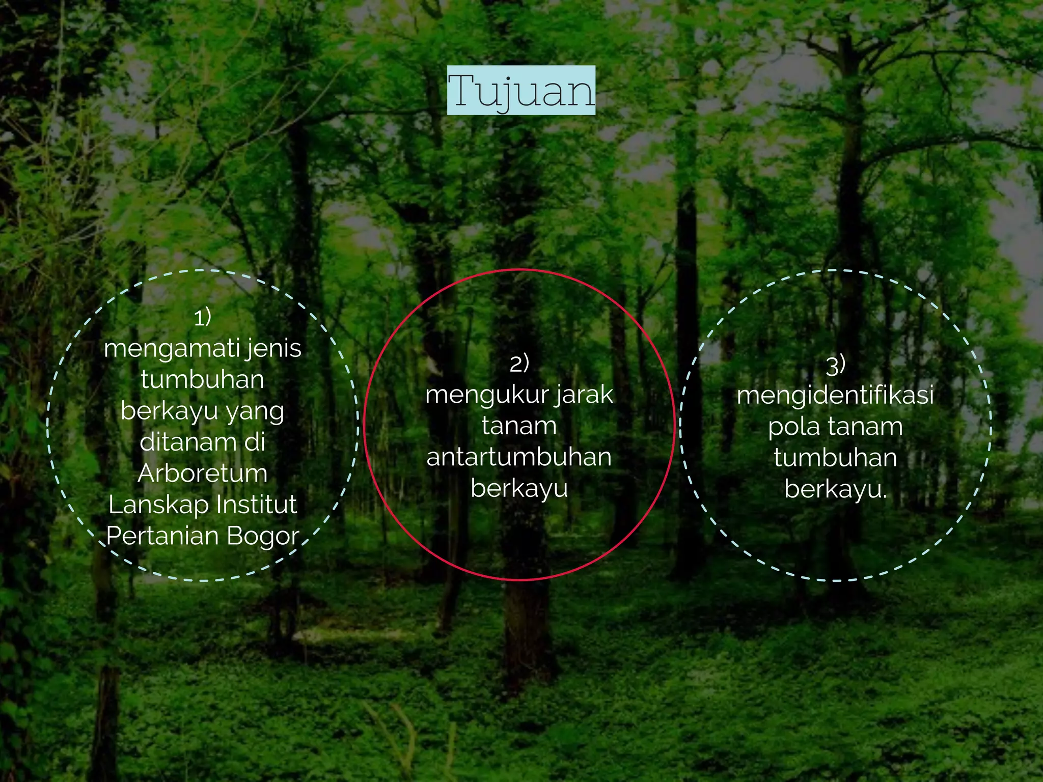 Contoh Presentasi Karya Tulis Ilmiah | PDF
