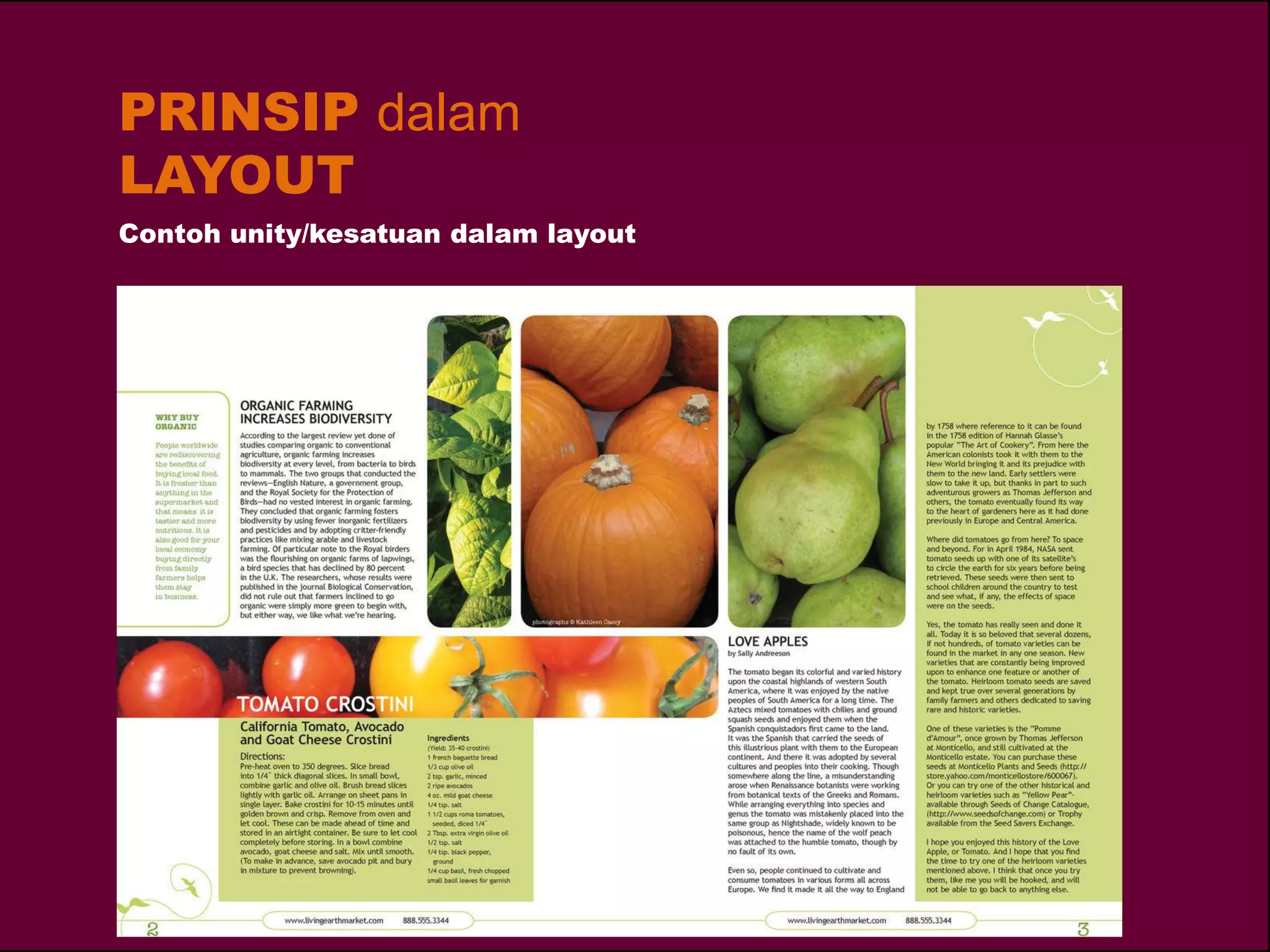 LAYOUT DASAR -Dalam majalah/poster | PDF