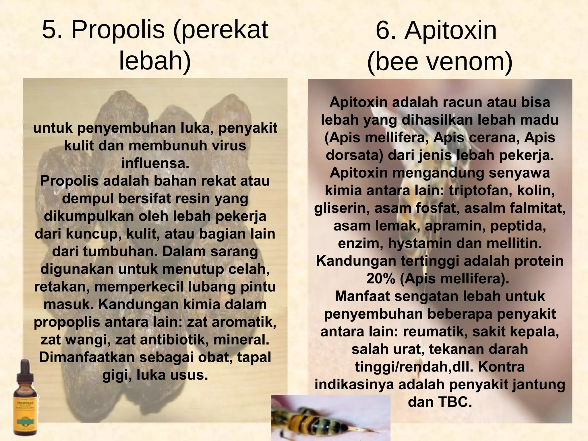 Jenis lebah dan manfaatnya | PPT