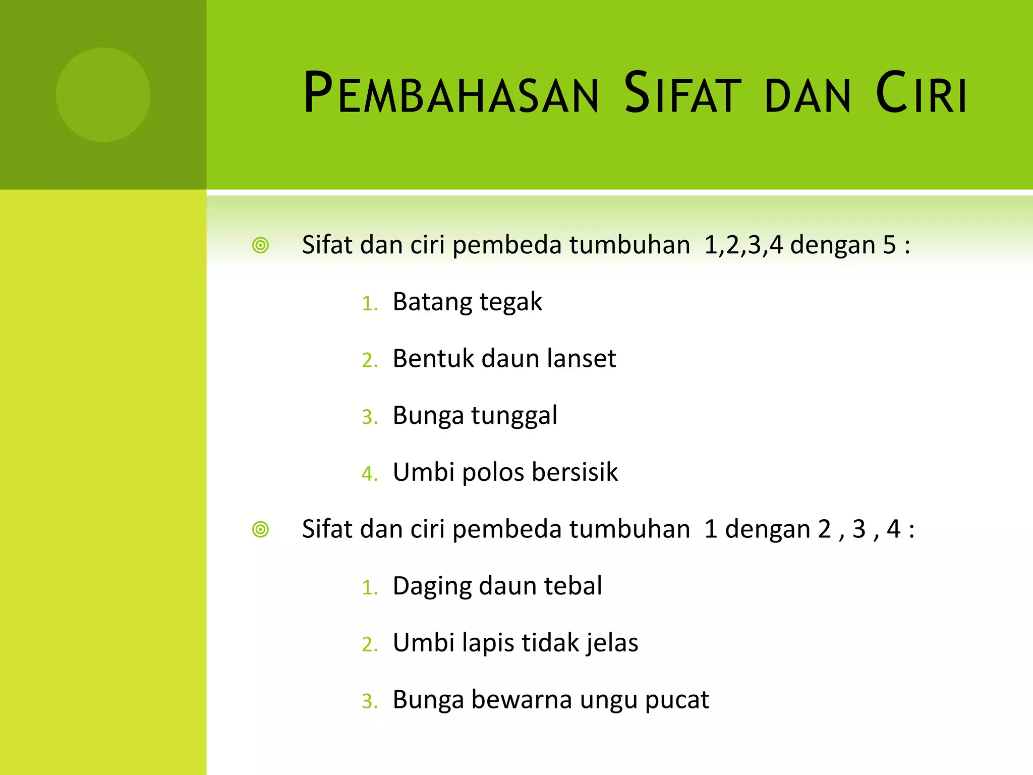 Presentasi liliaceae | PPTX