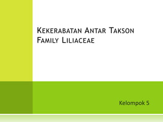 Presentasi liliaceae | PPT
