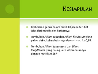 Presentasi liliaceae | PPT