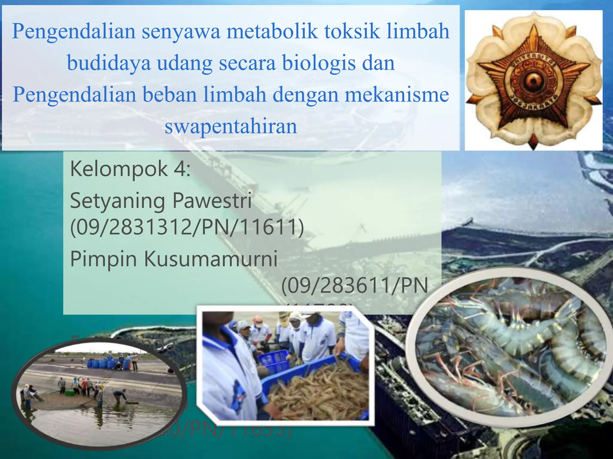 Pengendalian senyawa metabolik toksik limbah budidaya udang secara biologis | PPTX