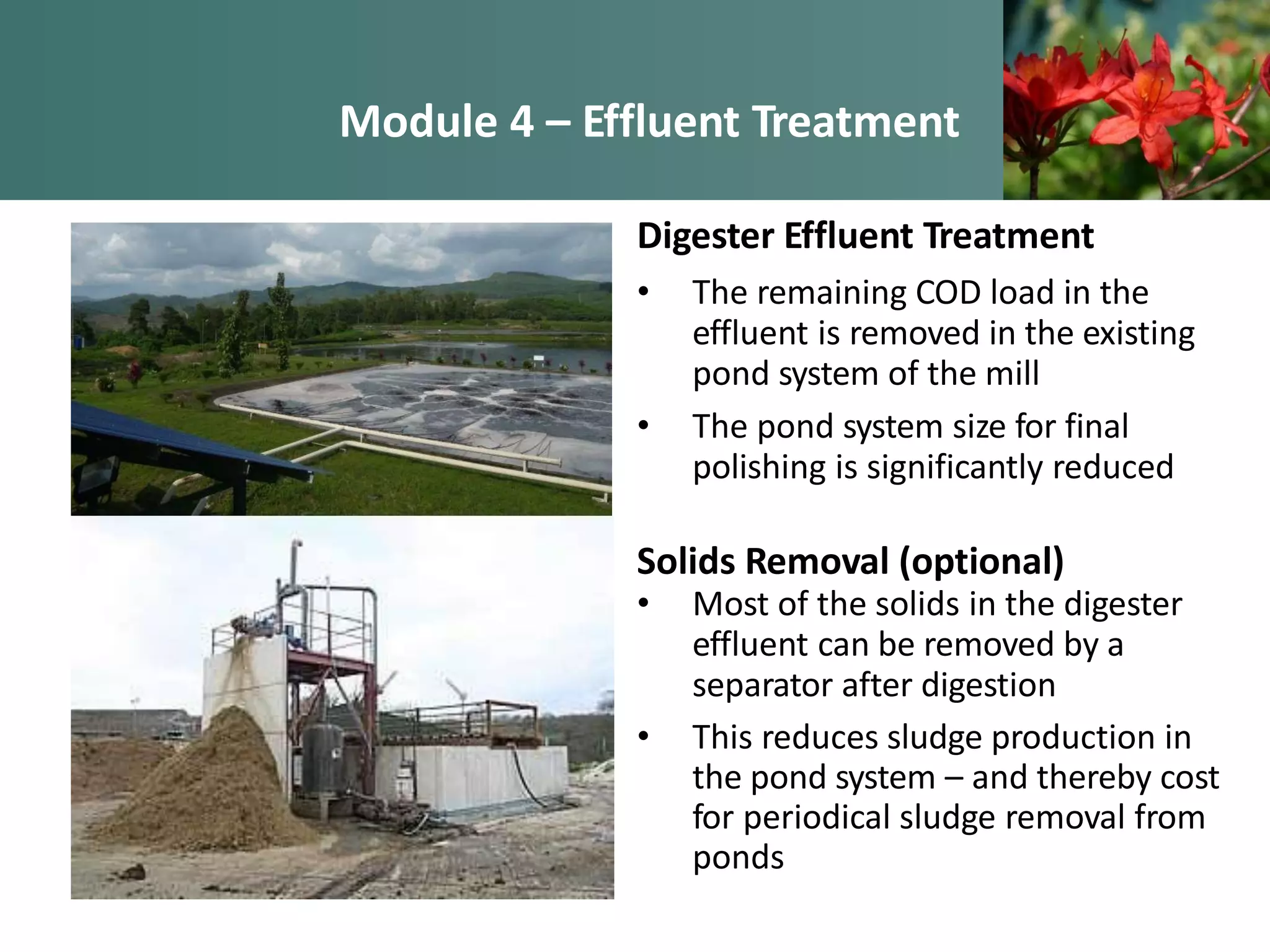 Waste to energy | PDF