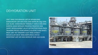 PRESENTASI LNG TEKNOLOGI PROSES.pptx