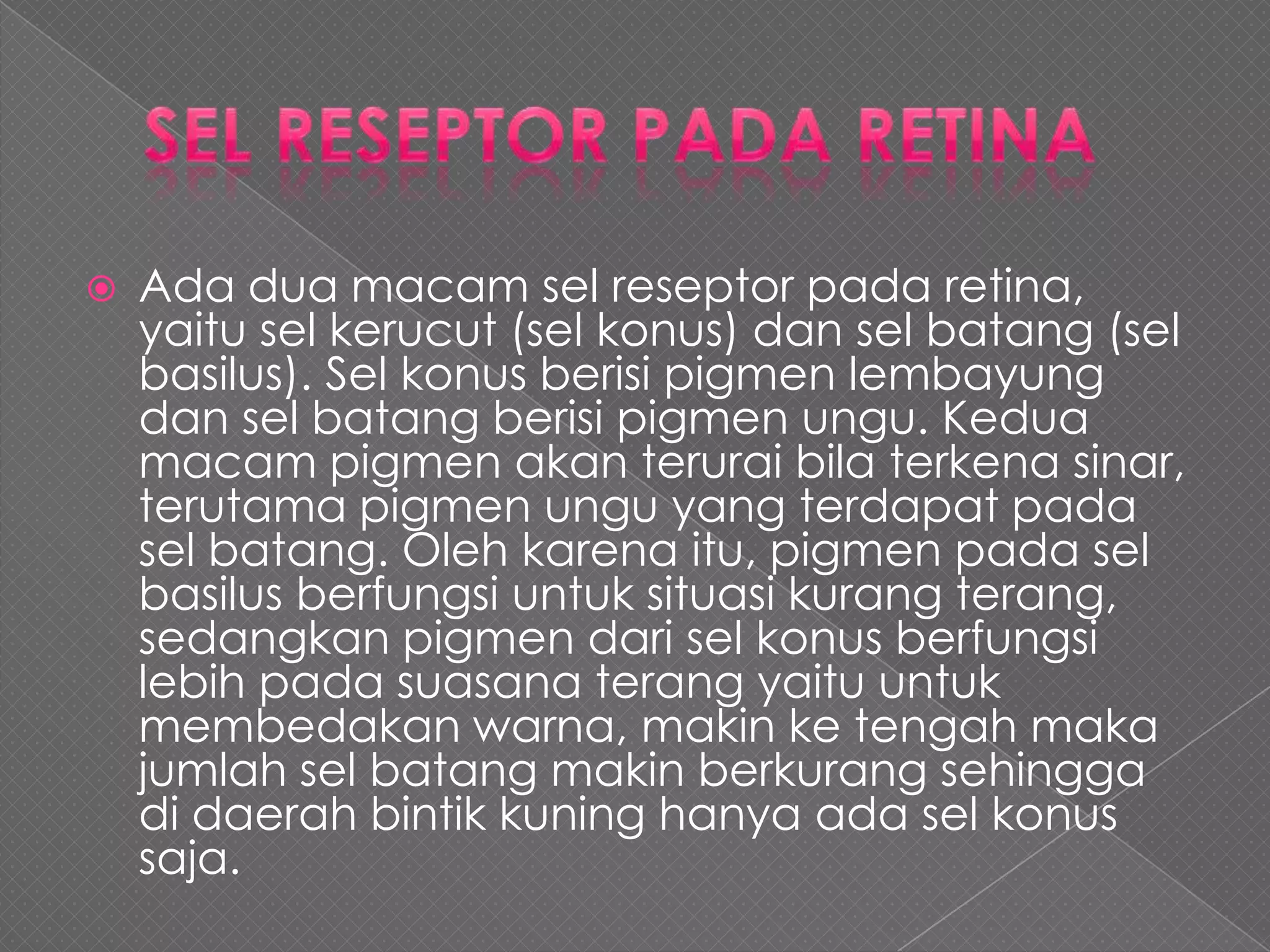 Presentasi mata | PPTX