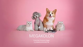 Presentasi Megakolon.pptx