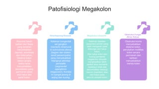 Presentasi Megakolon.pptx