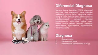 Presentasi Megakolon.pptx