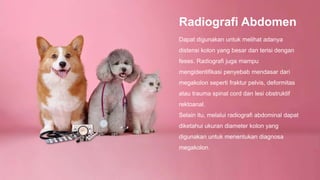 Presentasi Megakolon.pptx