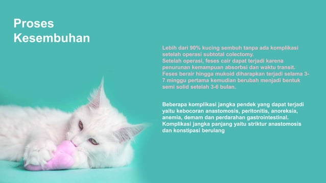 Presentasi Megakolon.pptx