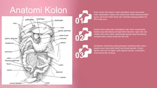 Presentasi Megakolon.pptx