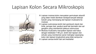 Presentasi Megakolon.pptx