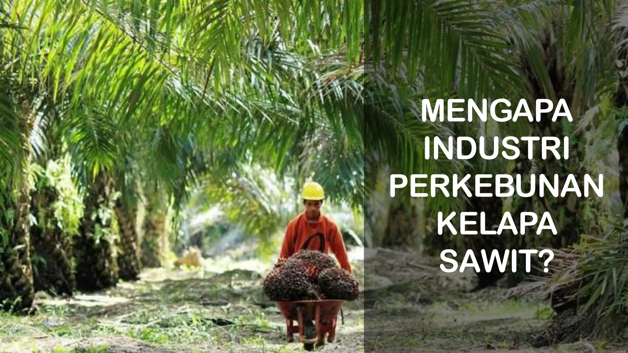 Presentasi Mengapa Industri Kelapa Sawit.pdf