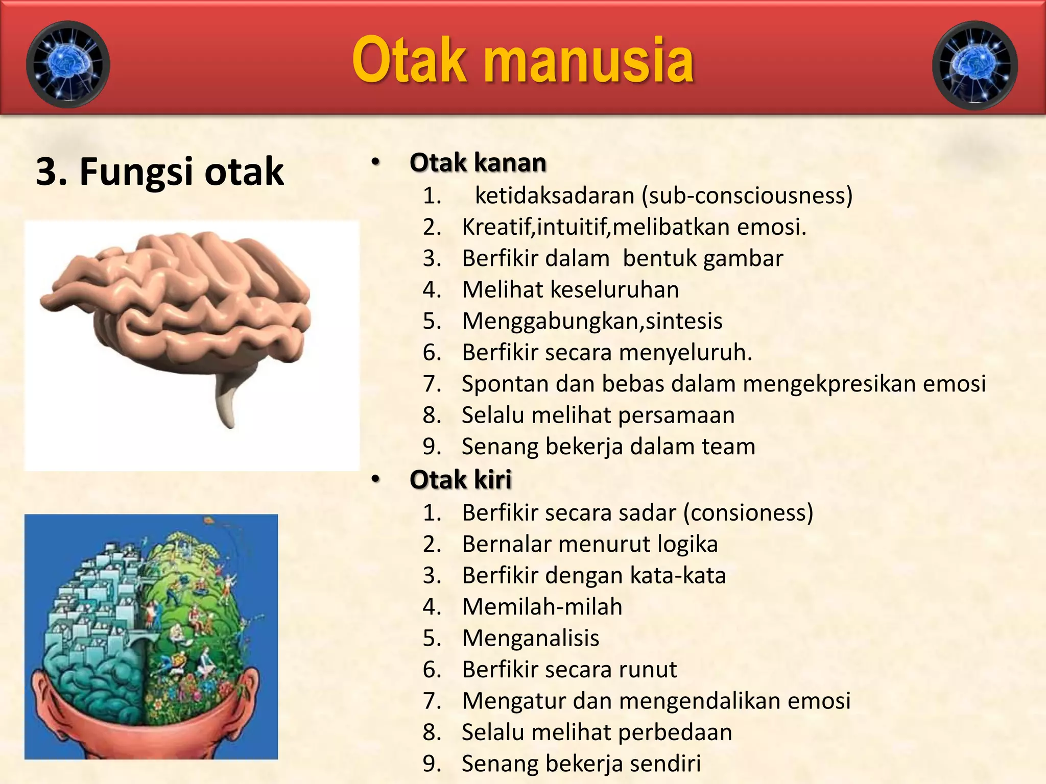 Presentasi Mengenai Otak Manusia | PDF