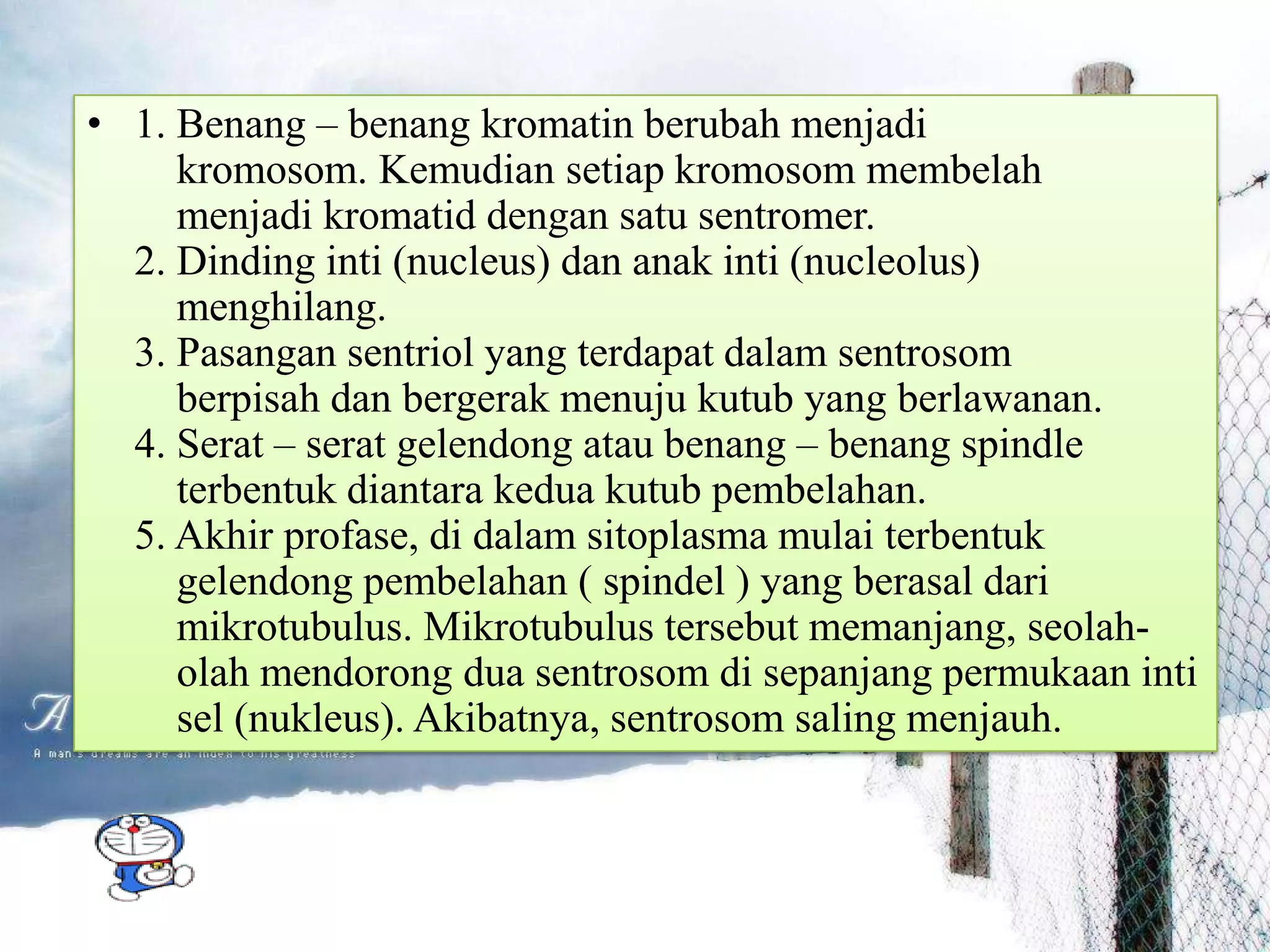 Presentasi mitosis sel hewan | PPTX