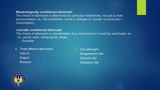 Morphology | PPTX | Geology | Science