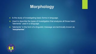 Morphology | PPTX | Geology | Science