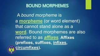 Morphology | PPTX | Geology | Science