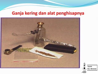 presentasi narkoba dan bahaya narkoba.pptx