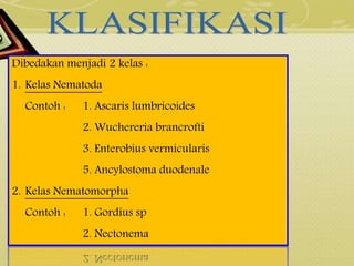 Klasifikasi Nemathelminthes | PPTX