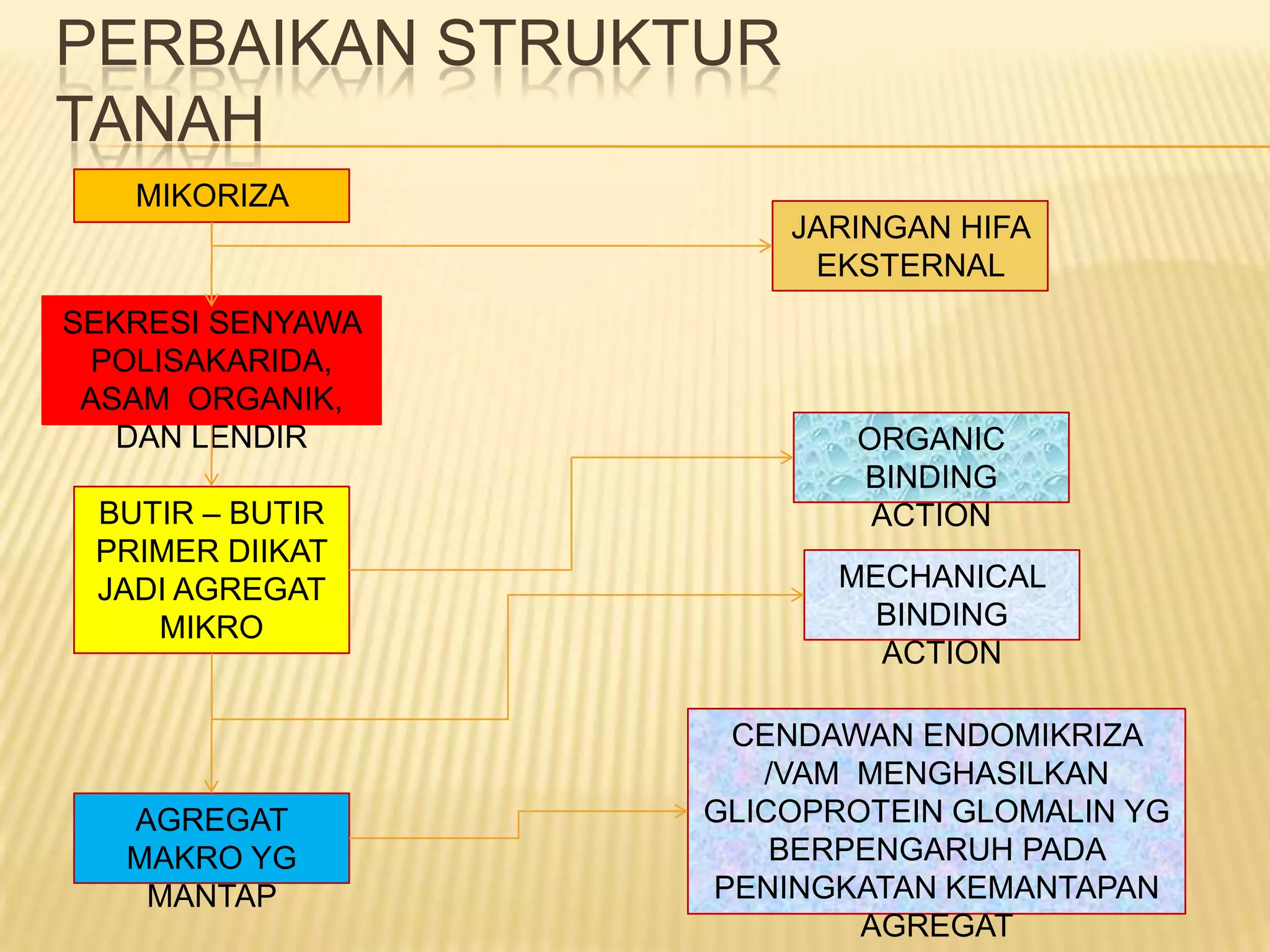 Presentasi no 2 6_penerapan pertanian organik di lahan kritis dengan ...