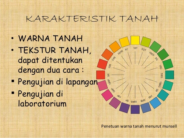 Warna Tanah