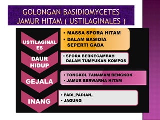 Presentasi no 3 2_penggolongan jamur dan karakteristik penyakit yang ...