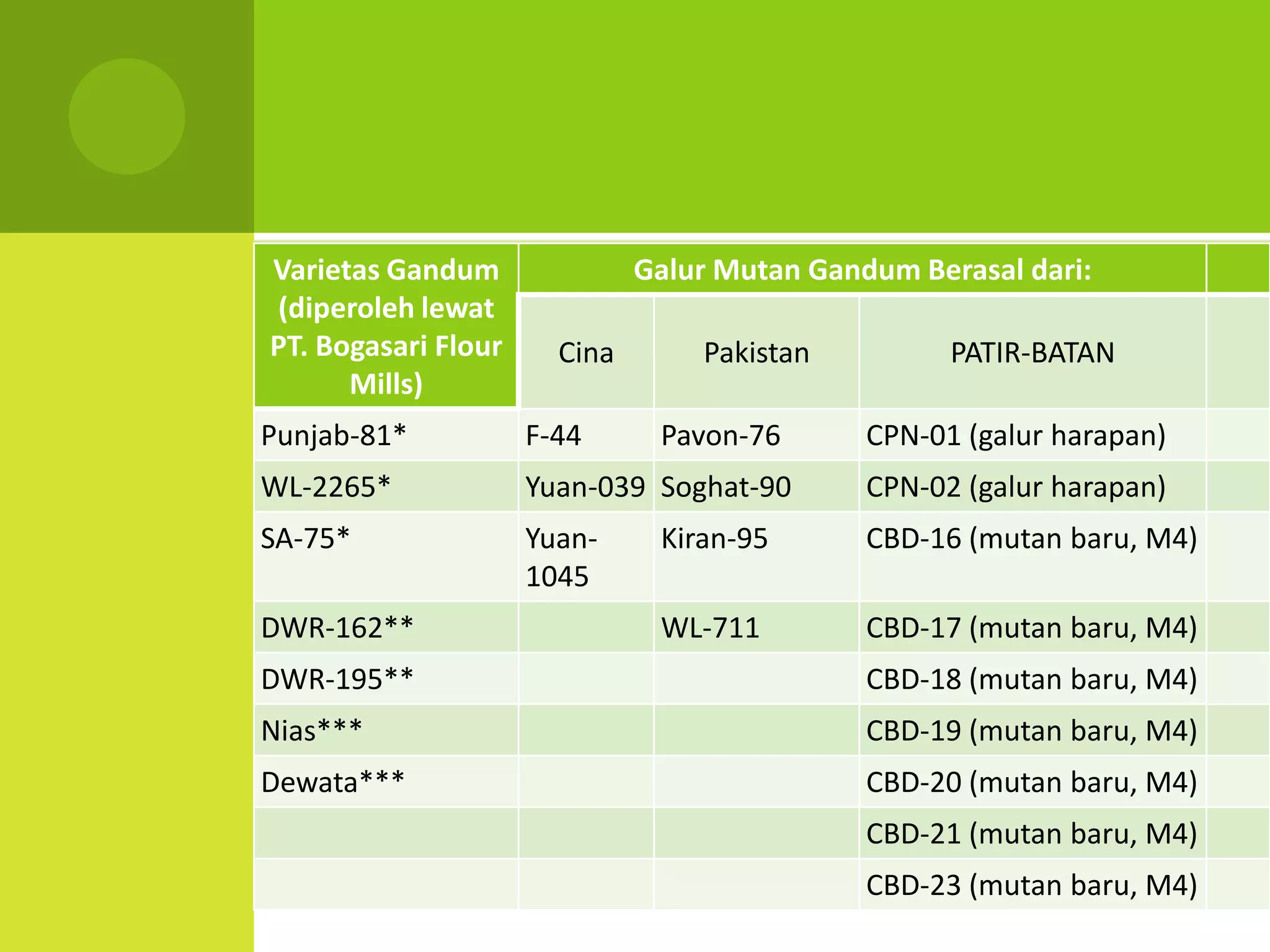 Presentasi no 3 3_pemuliaan tanaman gandum sorghum | PPT
