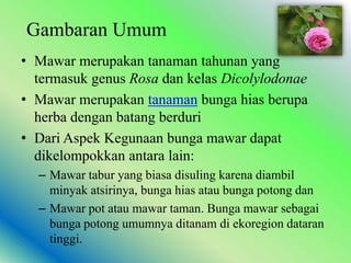 Presentasi no 5 2_rekayasa teknologi produksi dan pengelolahan media ...