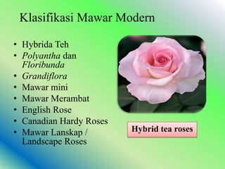 Presentasi no 5 2_rekayasa teknologi produksi dan pengelolahan media ...