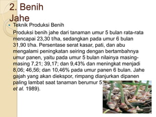 Presentasi no 5 4_perspektif benih tanaman rempah dan obat di indonesia ...