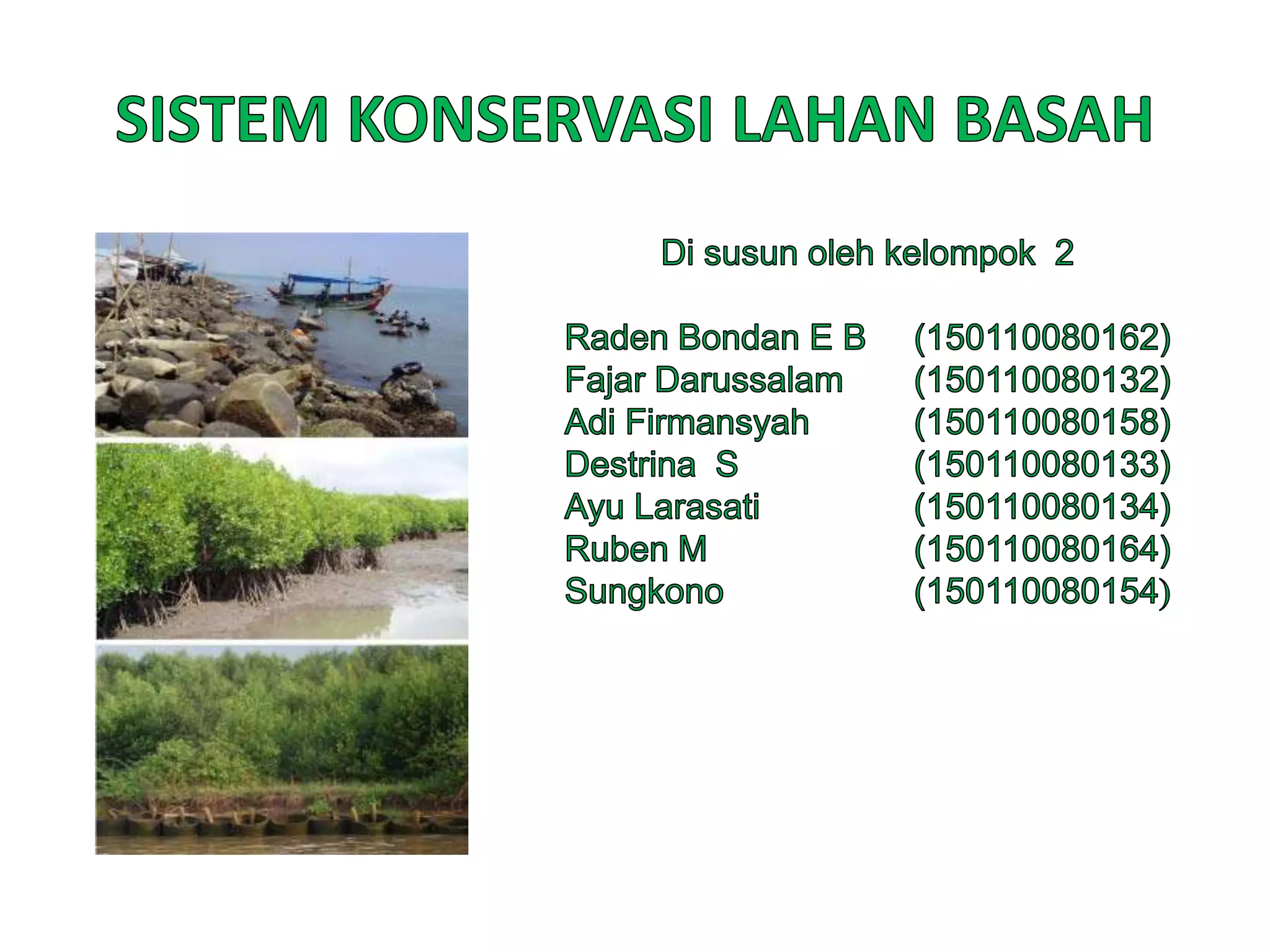 Presentasi no 5 8_sistem konservasi lahan basah | PPTX