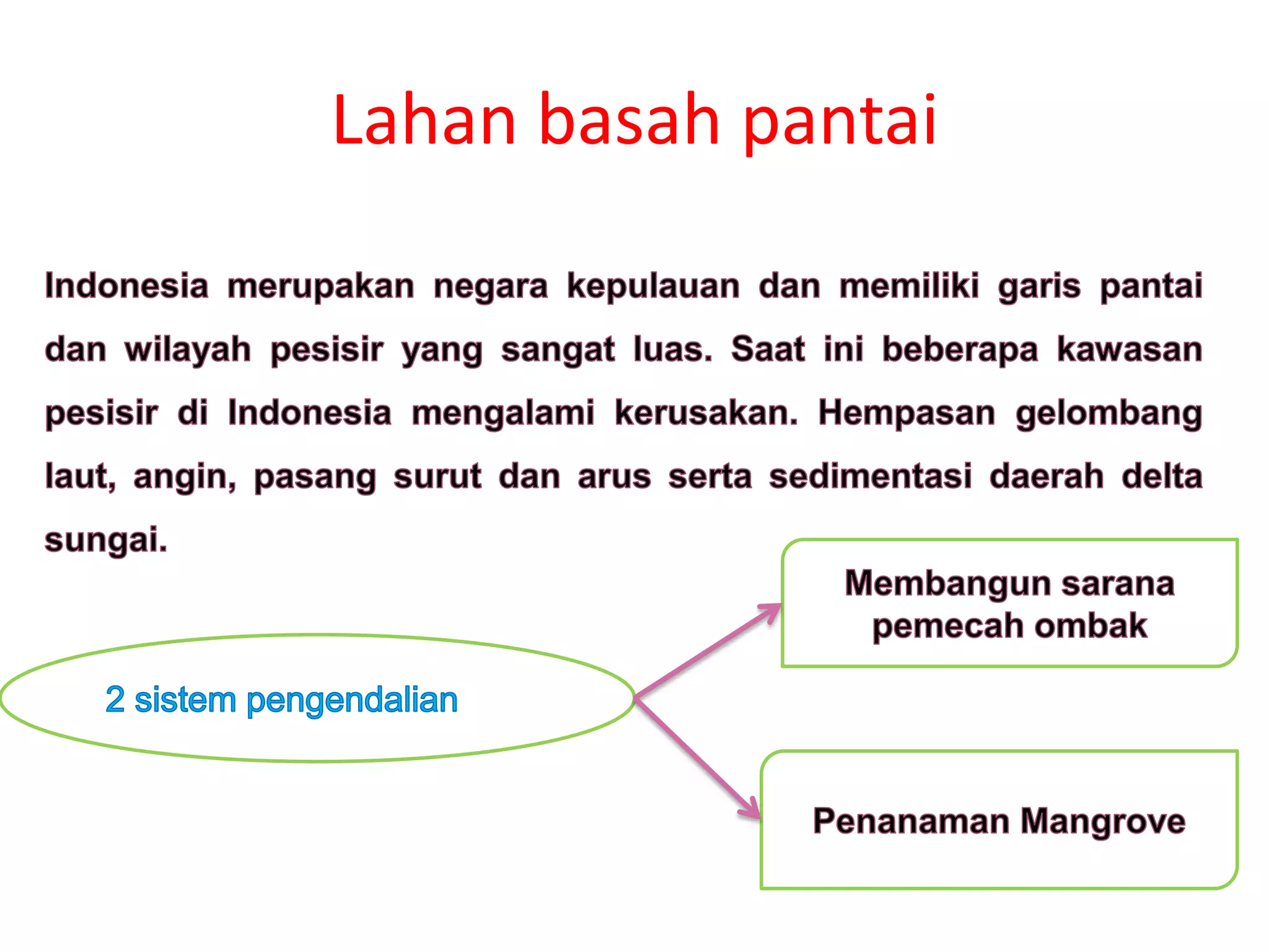 Presentasi no 5 8_sistem konservasi lahan basah | PPTX