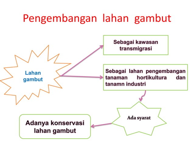 Presentasi no 5 8_sistem konservasi lahan basah | PPTX