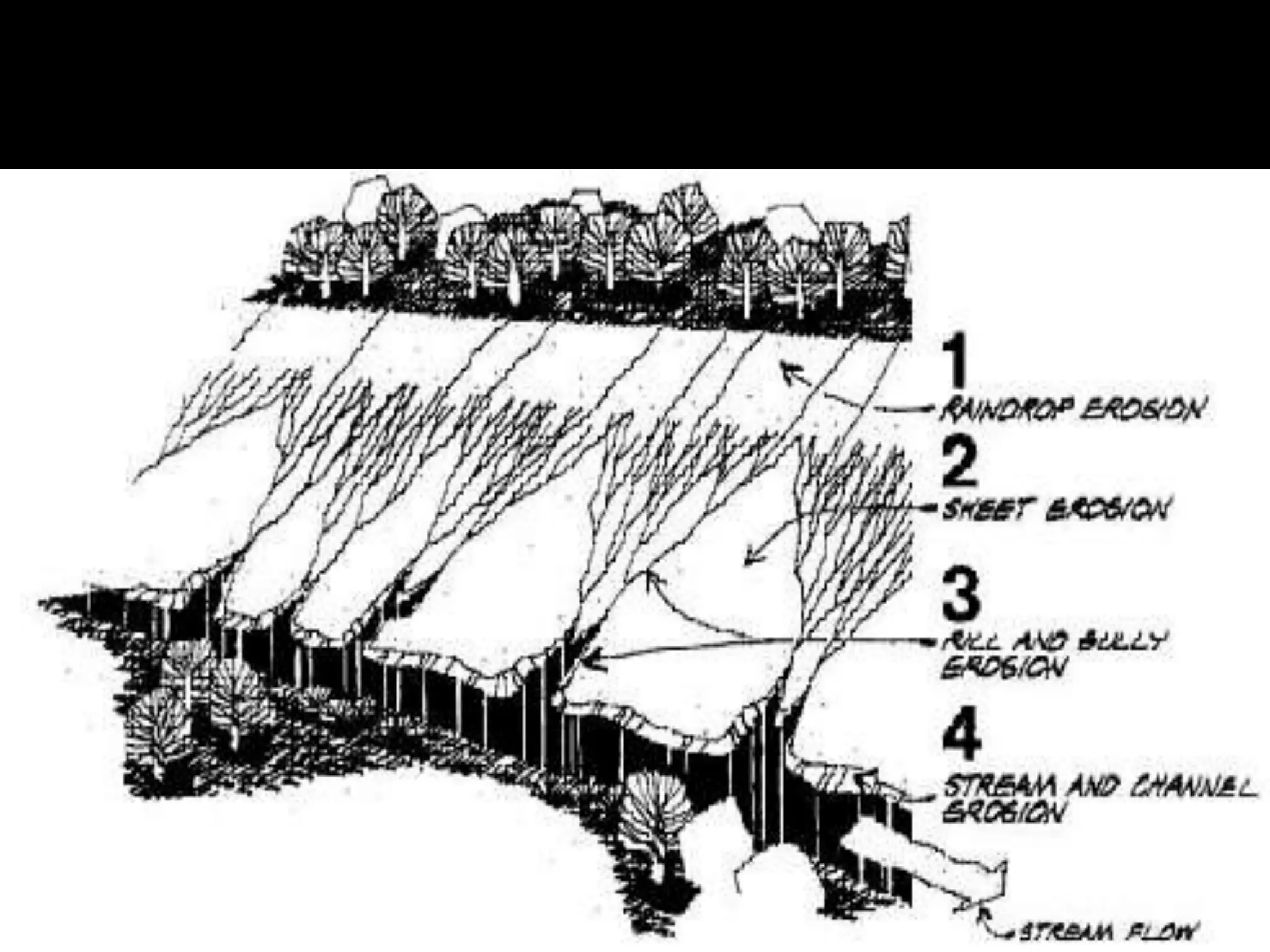 Presentasi no 6 6_bentuk dan proses pembentukan erosi | PPTX