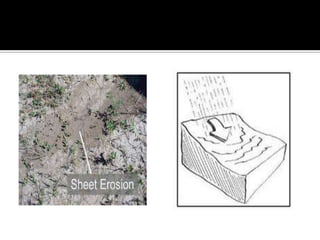 Presentasi no 6 6_bentuk dan proses pembentukan erosi | PPTX