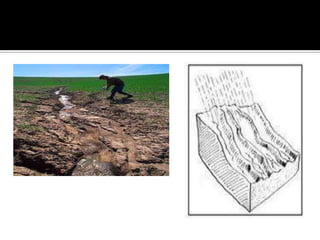 Presentasi no 6 6_bentuk dan proses pembentukan erosi | PPTX