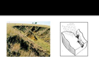 Presentasi no 6 6_bentuk dan proses pembentukan erosi | PPTX