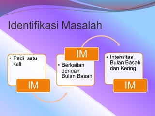 Presentasi no 7 1_lahan sawah tadah hujan tipe basah | PPT