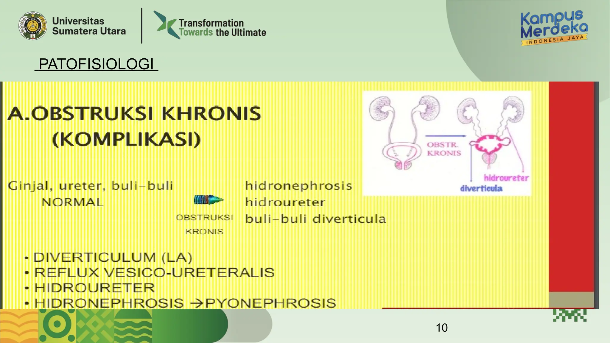 PRESENTASI OBSTRUKSI SALURAN hhghj KEMIH | PPTX