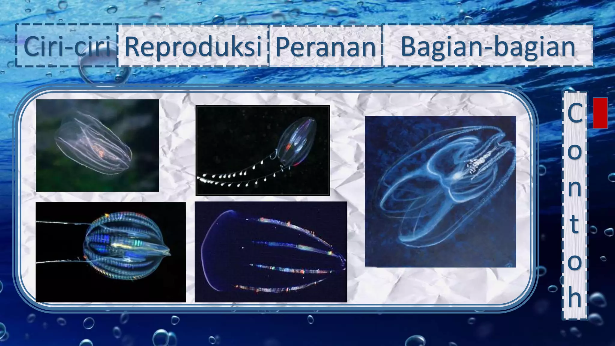 Presentasi pameran | PPTX