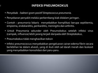Patofisioanatomi | PPTX