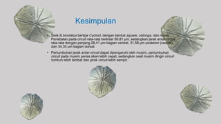 identifikasi circuli sisik ikan wader bintik | PPTX